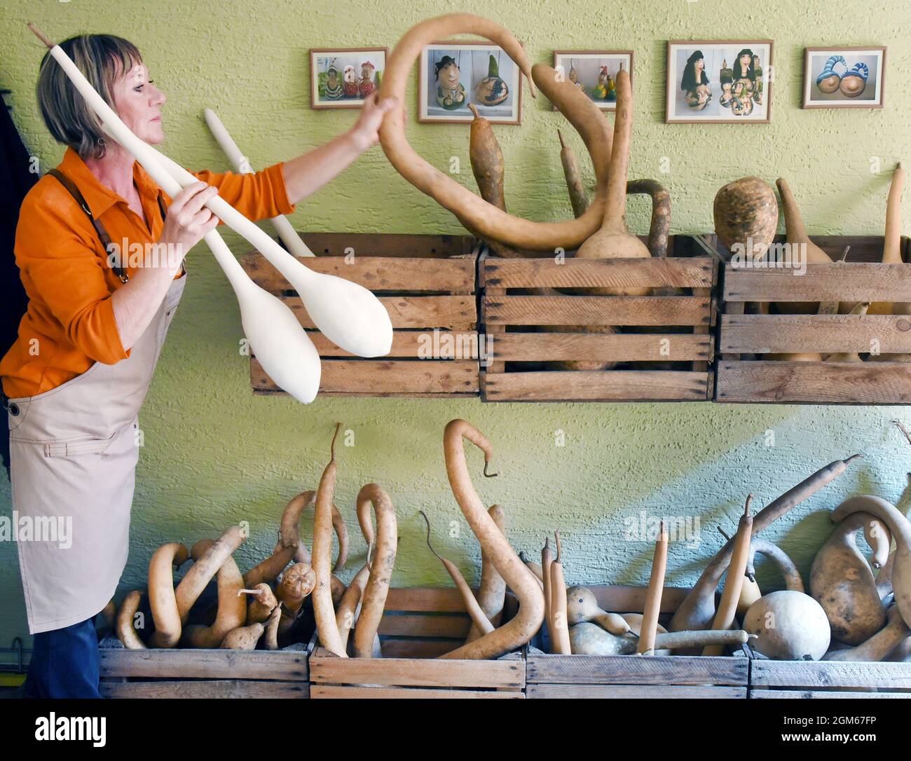 08 September 2021, Saxony, Zwethau: Andrea Schmidt arranges various ...