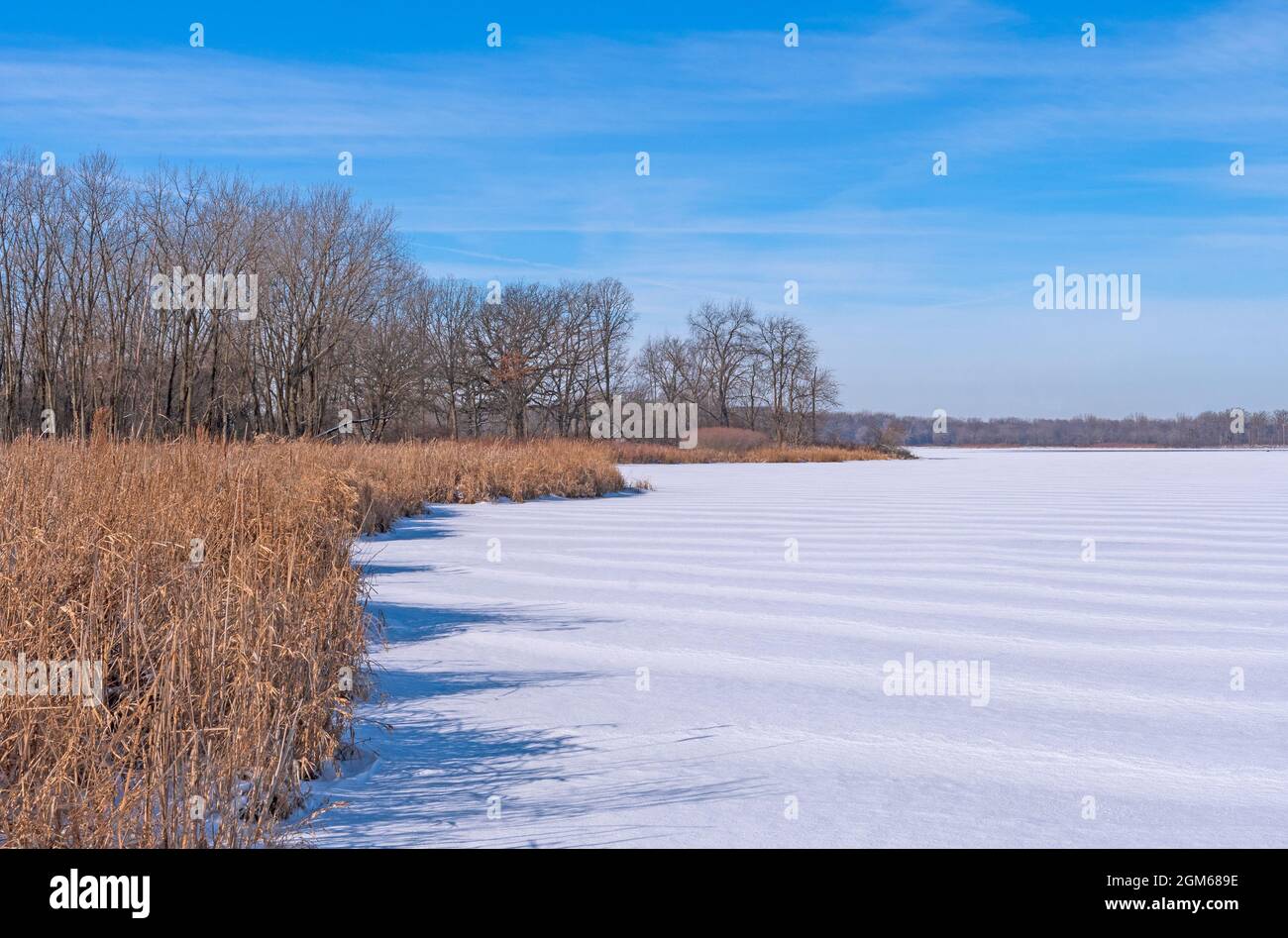 Frozen Lake Meets the Prairie in Winter in Ned Brown Preserve in ...