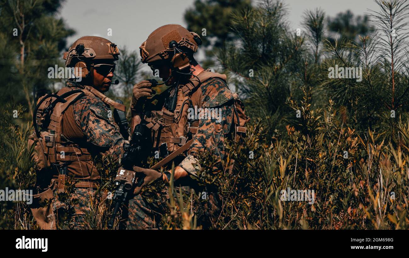 Force recon platoon hi-res stock photography and images - Alamy
