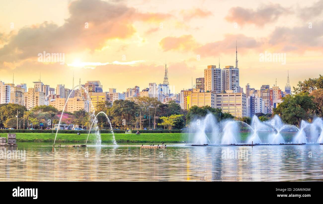 Parque Ibirapuera Sol