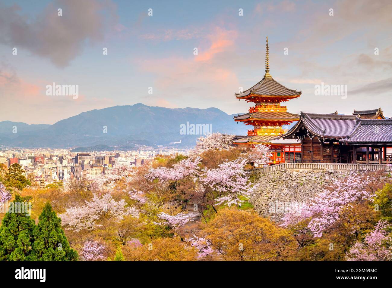 Kiyomizu-dera Temple and cherry blossom season (Sakura) spring time in ...