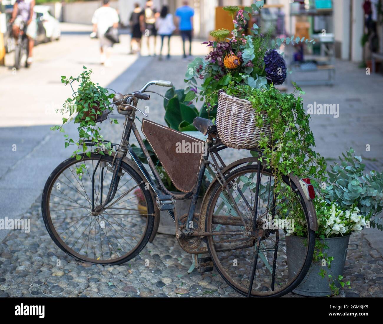Bicycle with floral decoration hi-res stock photography and images - Alamy