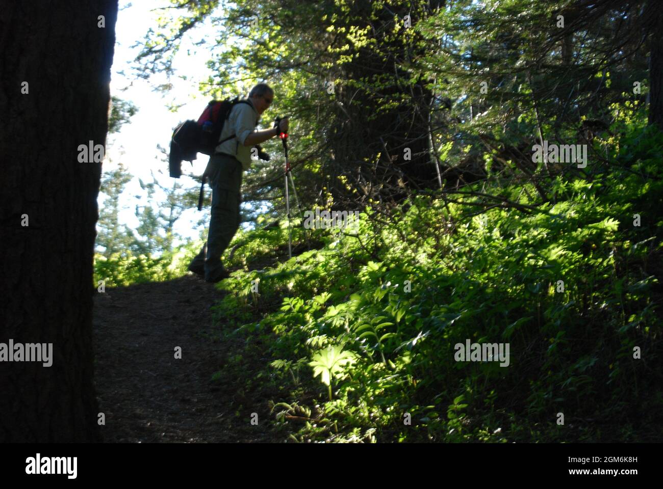 Hiker taking a break on Red Top Mountain Stock Photo - Alamy