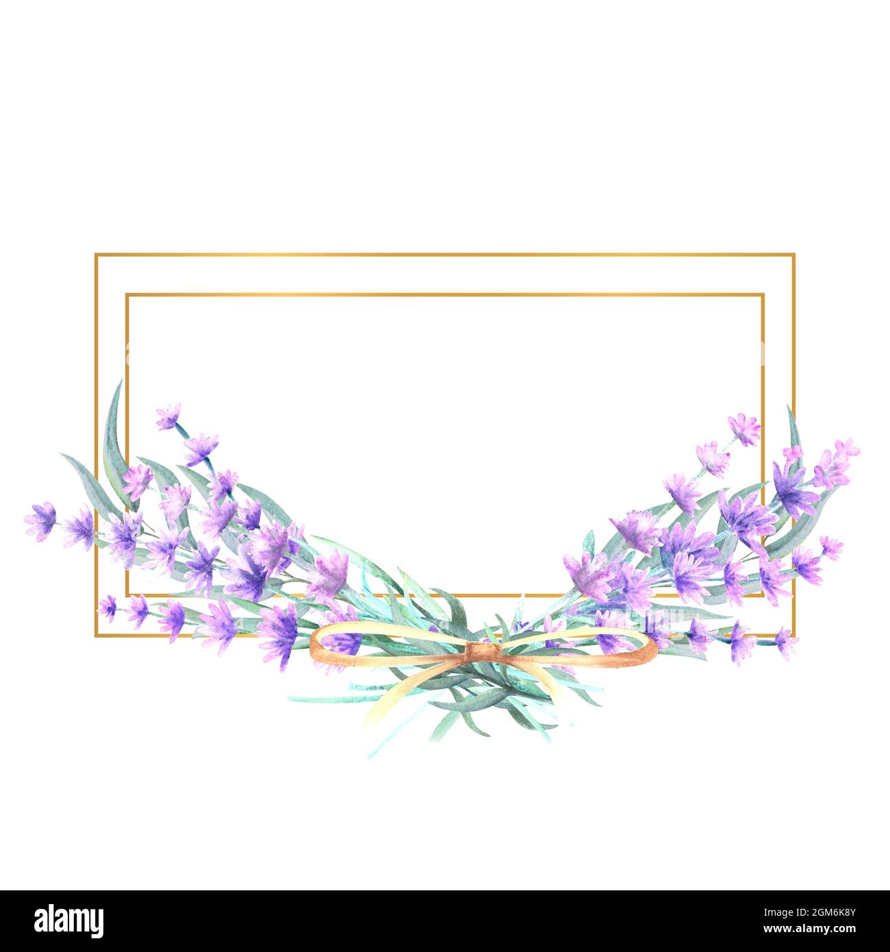 Lavender flowers in a rectangular gold frame. Hand-drawn watercolor ...