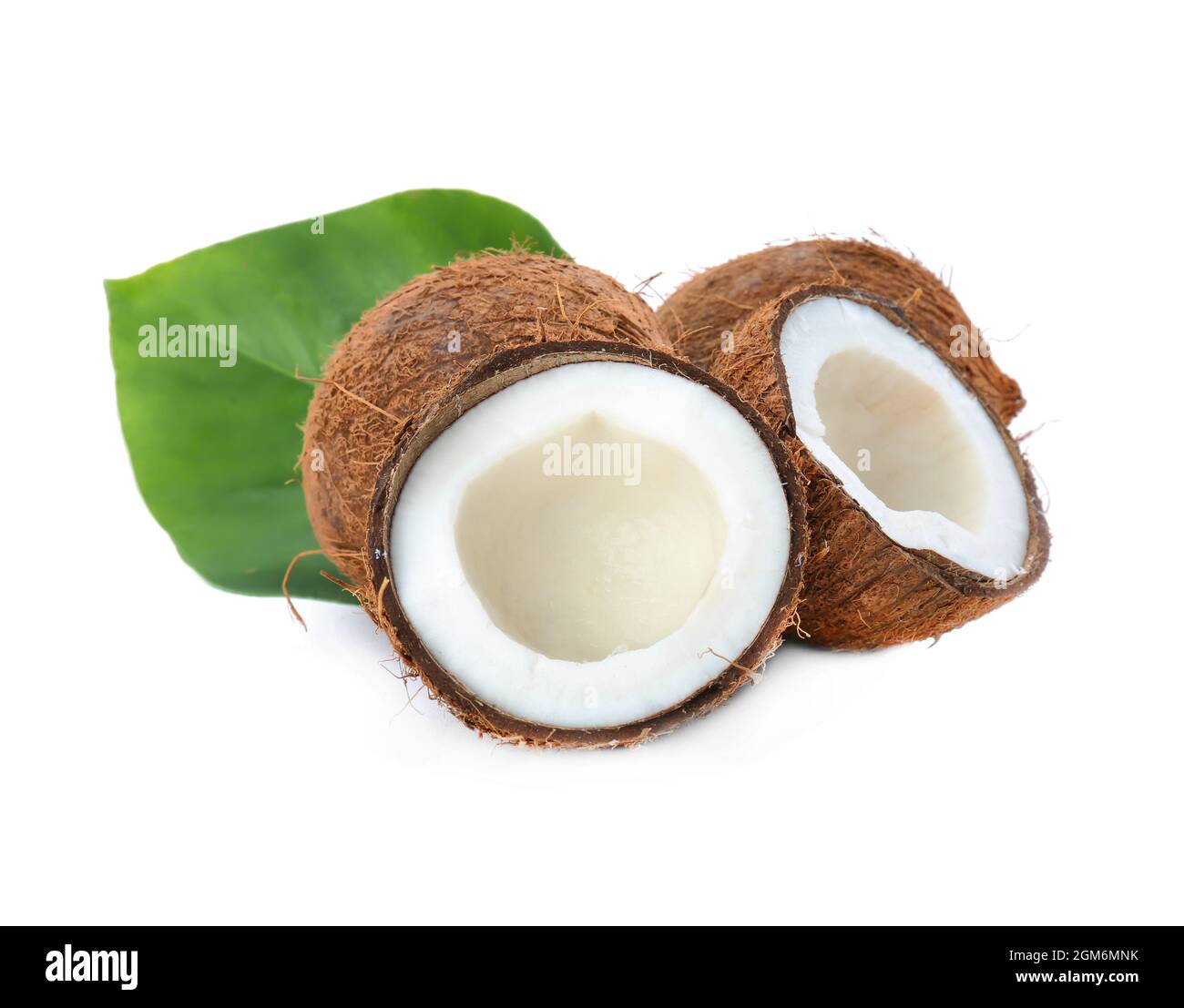 Ripe coconuts on white background Stock Photo - Alamy