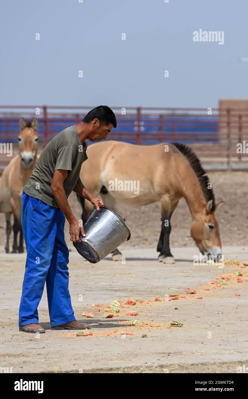 Urumqi, China's Xinjiang Uygur Autonomous Region. 10th Aug, 2021. A ...