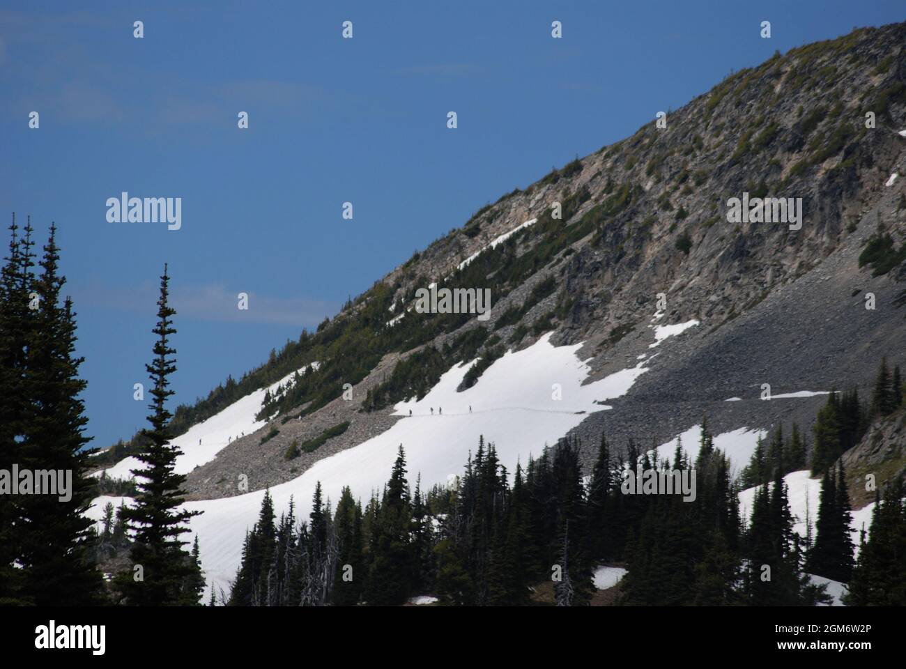 Snowfields near Sunrise Visitor Center at Mt. Rainier National Park ...