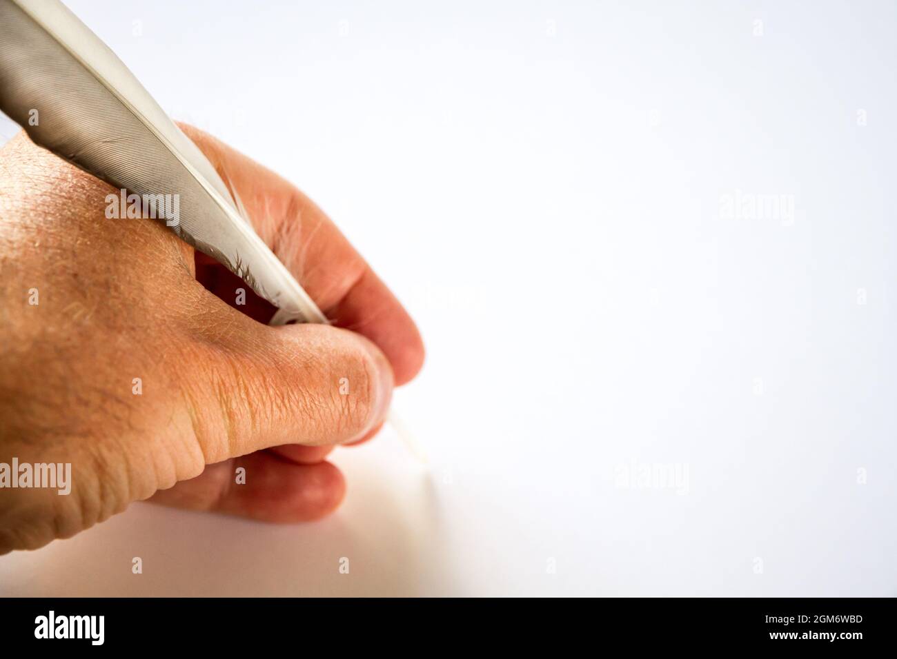 hand writing with a bird feather isolated on white background Stock ...