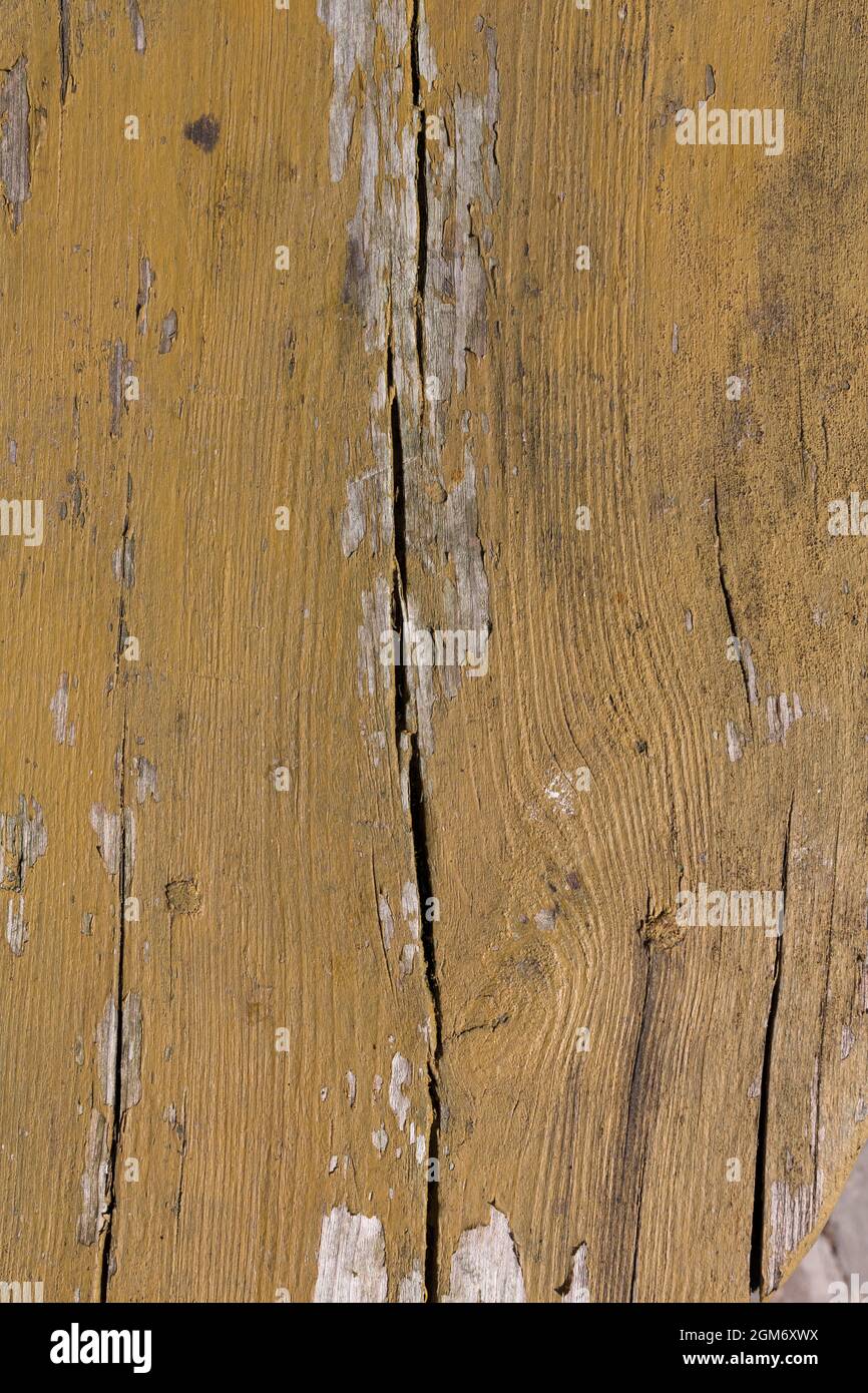 Wood texture background, wooden planks dirty yellow color Stock Photo ...
