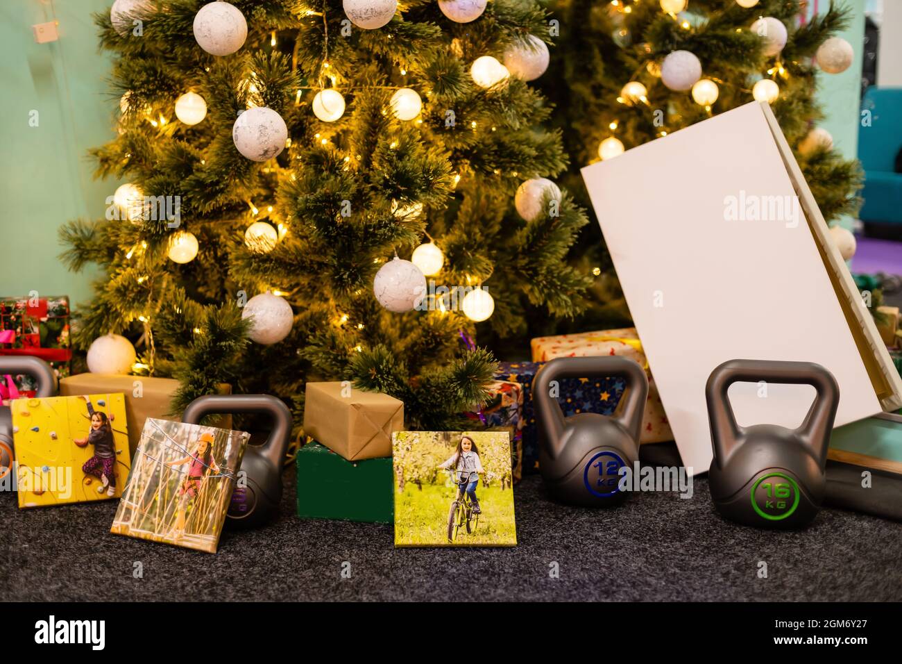 Heavy dumbbells weight and Christmas tree. photo canvas near the ...