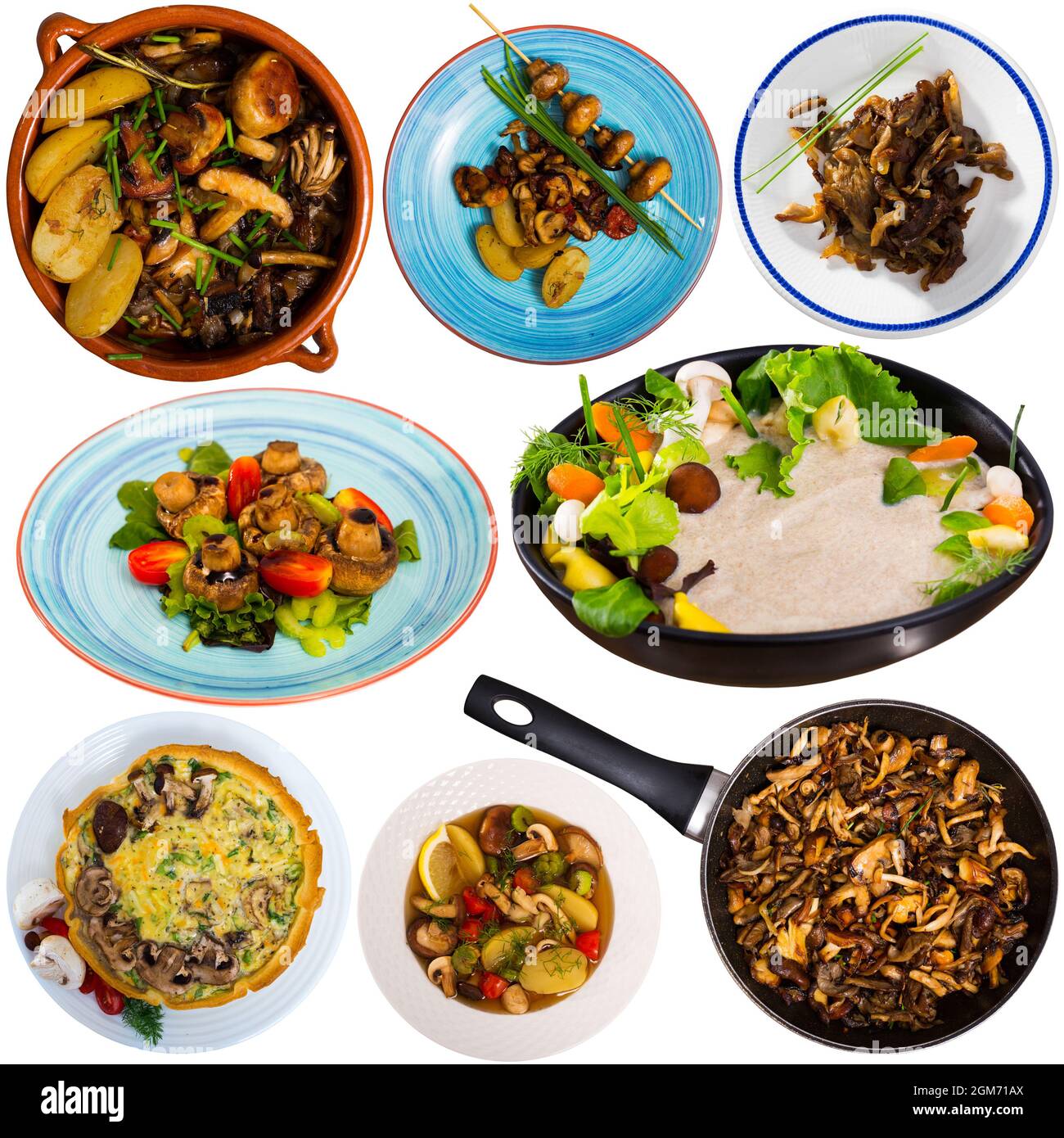 Collection of mushroom dishes on white background Stock Photo - Alamy