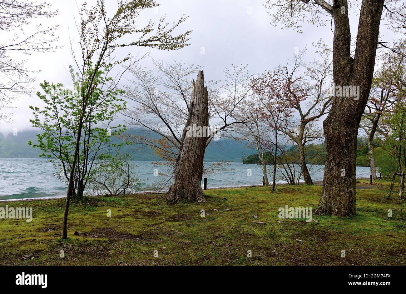 Scenery of Lake Towada in Aomori, Japan. Lake Towada is the largest ...