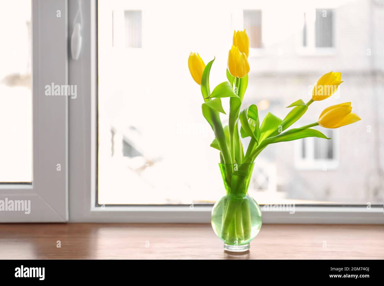 Vase with beautiful flowers on window sill Stock Photo - Alamy