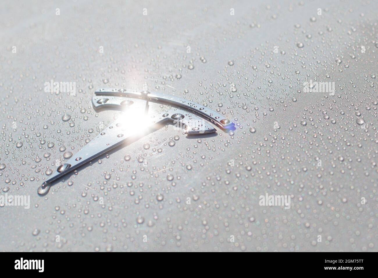 Shining Tesla Logo on Tesla Tesla Motors, Inc. is an American company ...