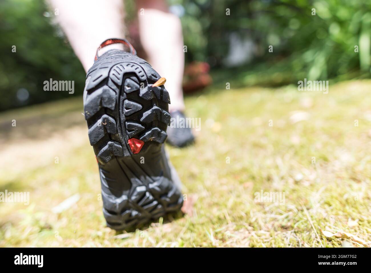 Back view of jogger running outdoors Stock Photo - Alamy