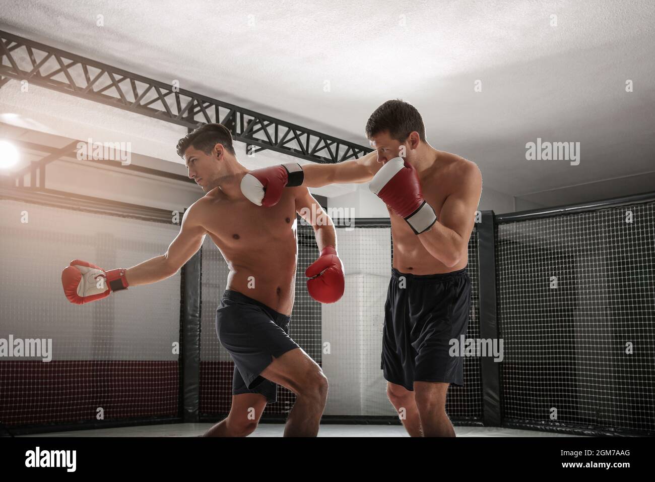 Two strong boxers fighting in gym Stock Photo - Alamy