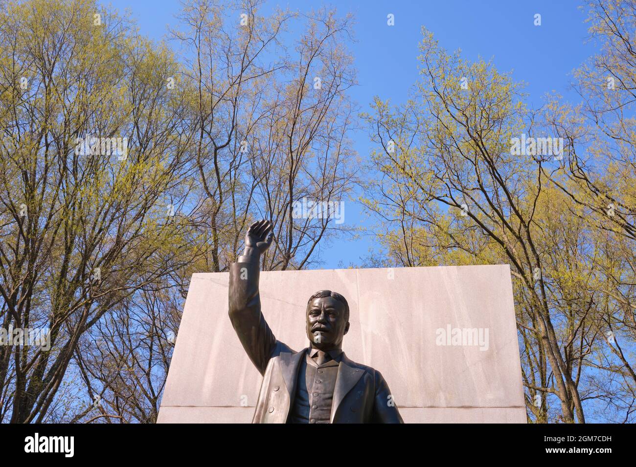 Detail of the bronze President Teddy Roosevelt statue, sculpture at the ...