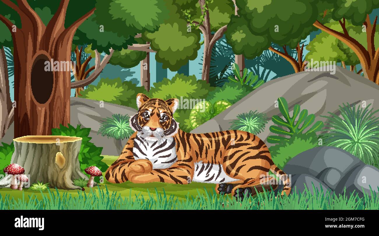 A tiger in forest or rainforest scene with many trees illustration ...