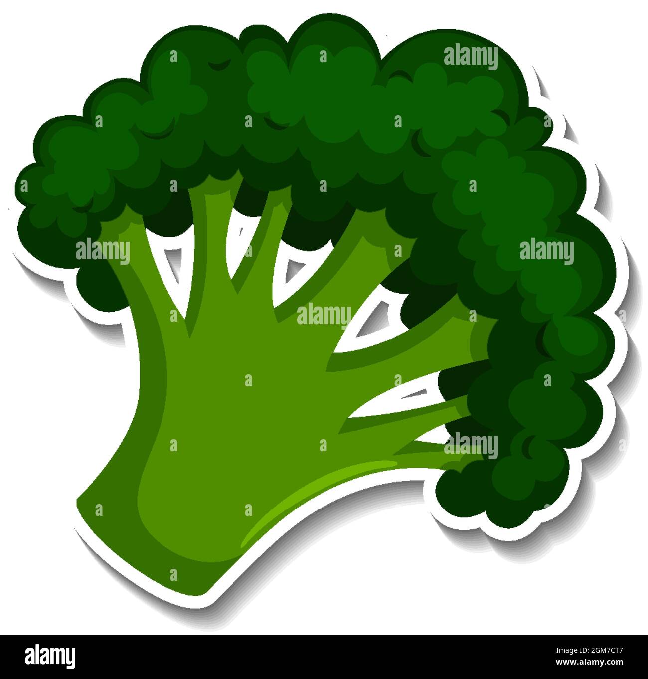 Broccoli sticker on white background illustration Stock Vector Image ...