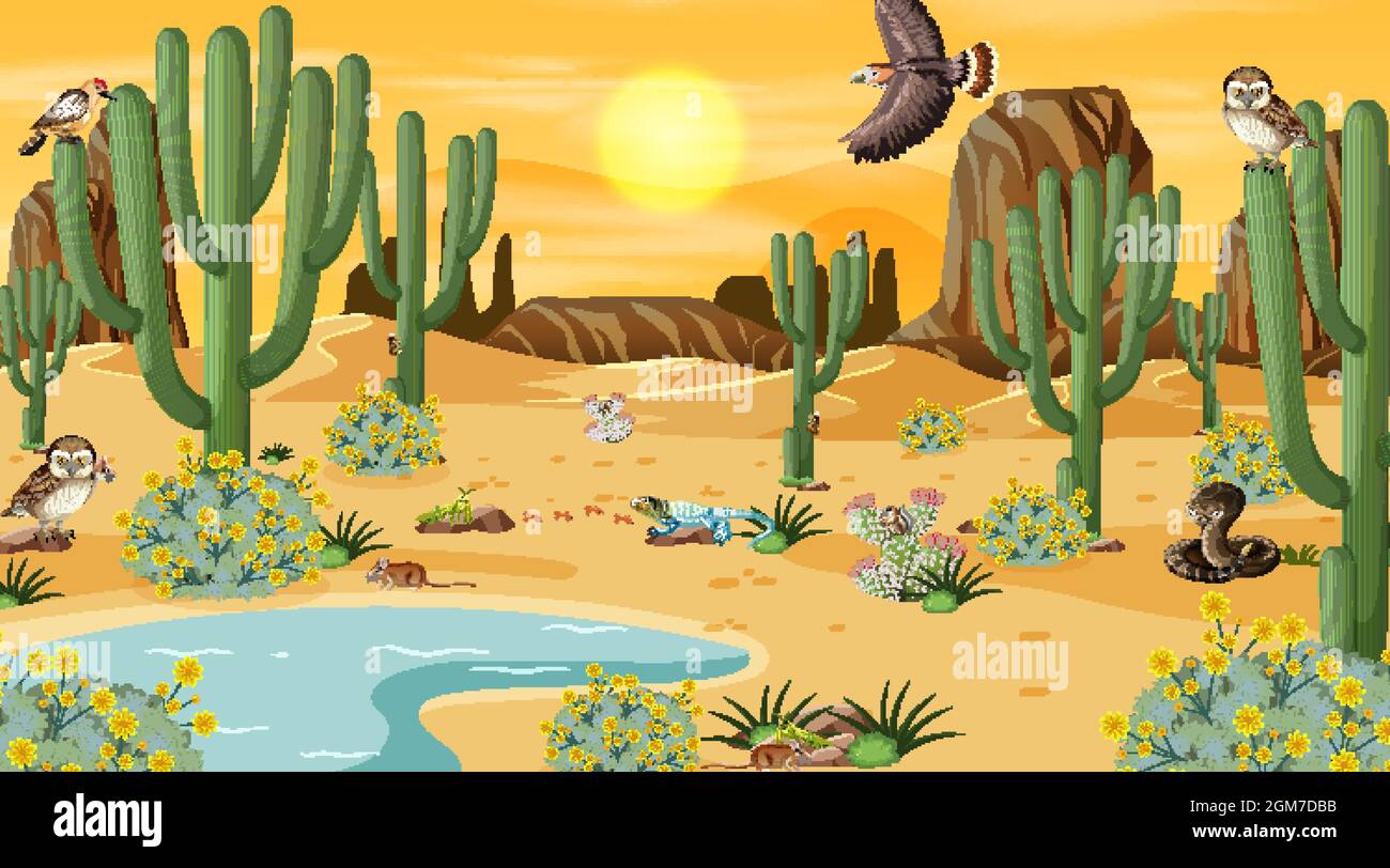 Desert Plants And Animals Desert Animals And Plants For Kids: Habitat