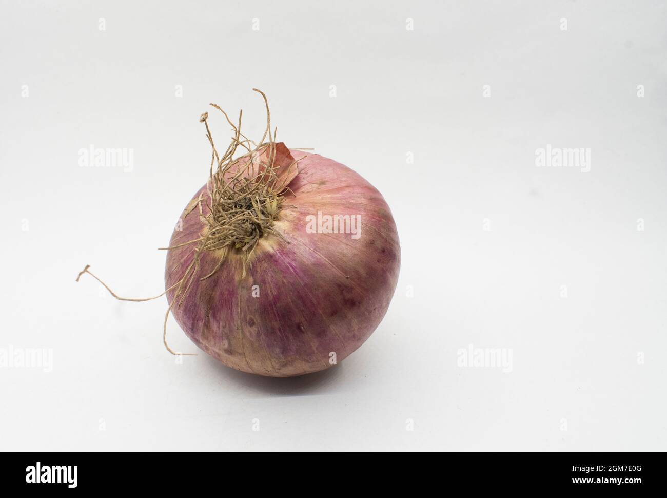Onion close up with roots Stock Photo - Alamy