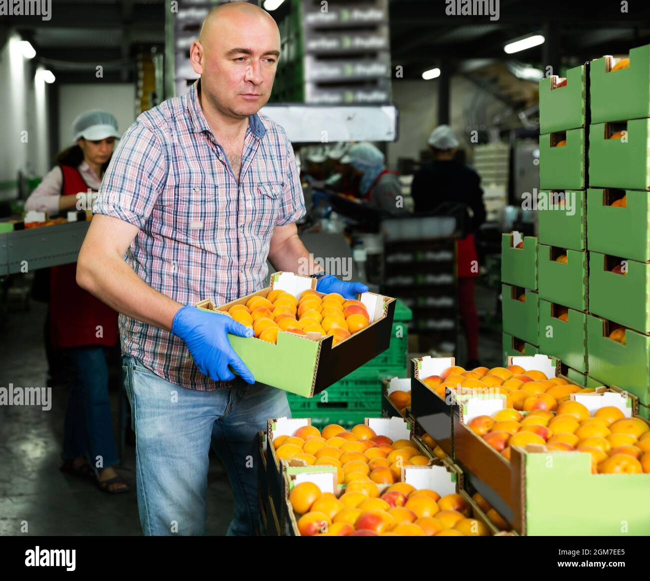 Loading fruits hi-res stock photography and images - Alamy