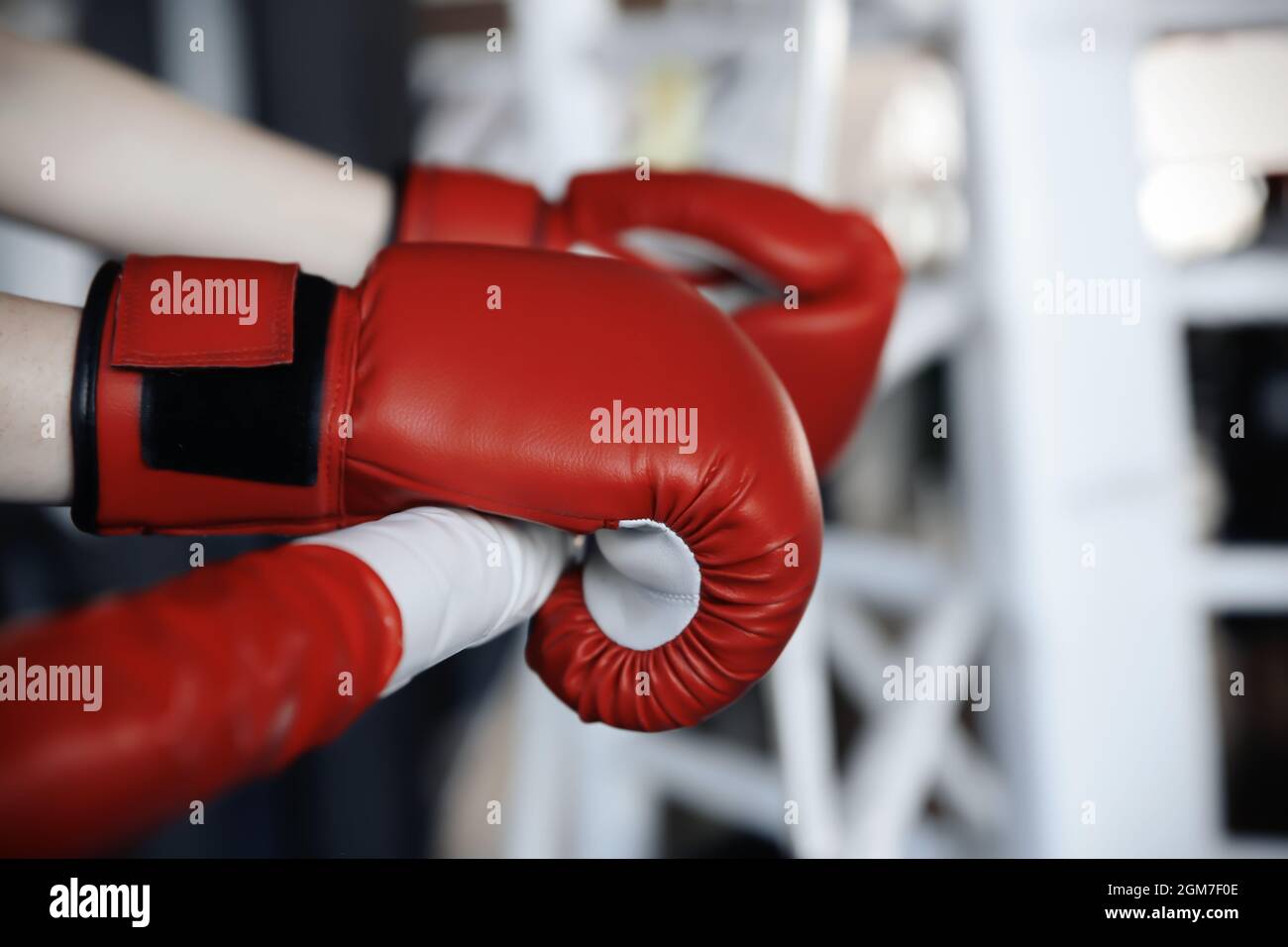 Boxer holding hands in gloves on rope of boxing ring Stock Photo - Alamy