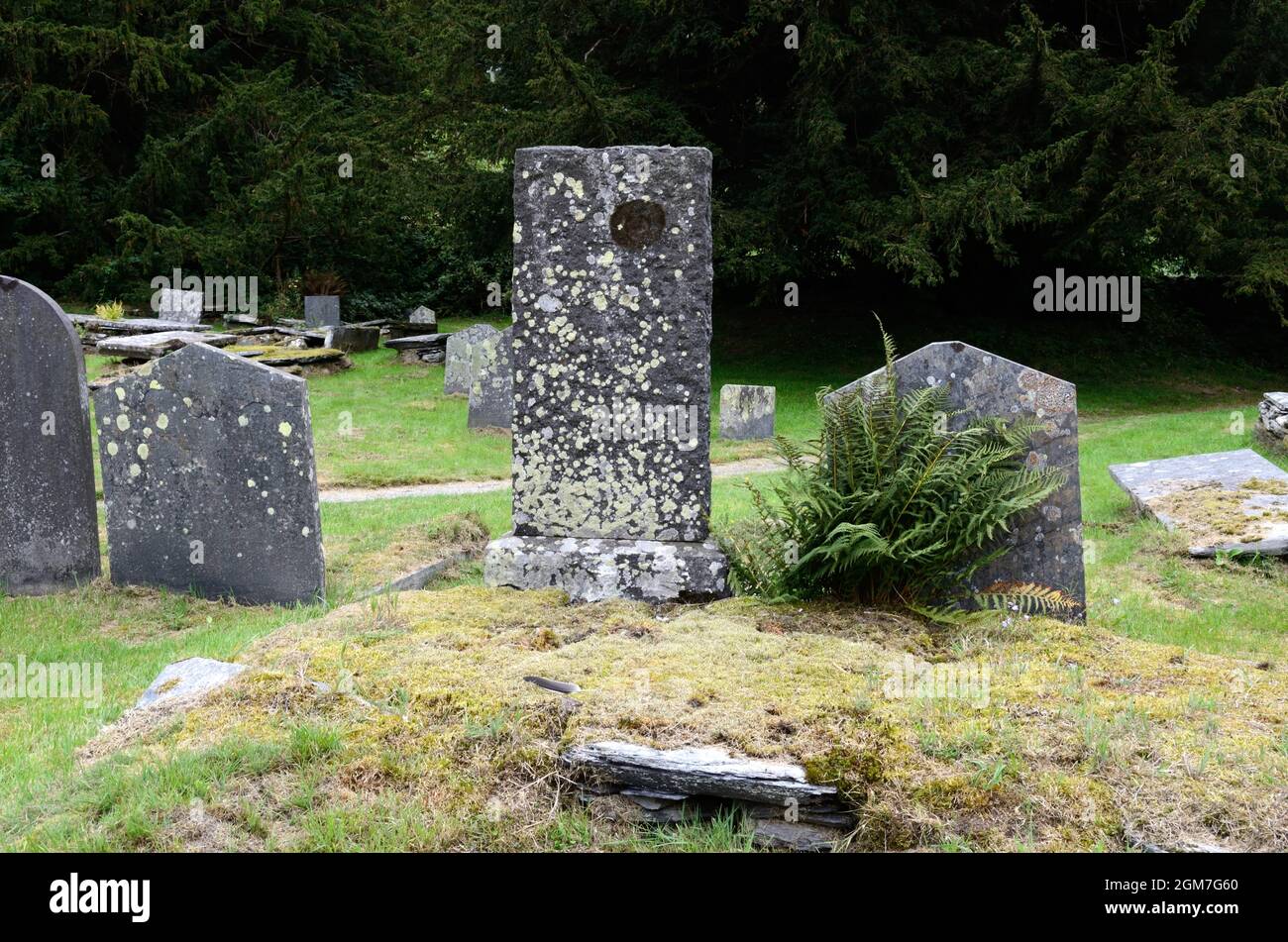 Old gravestones in the circular graveyard of Saint Melangells Church ...