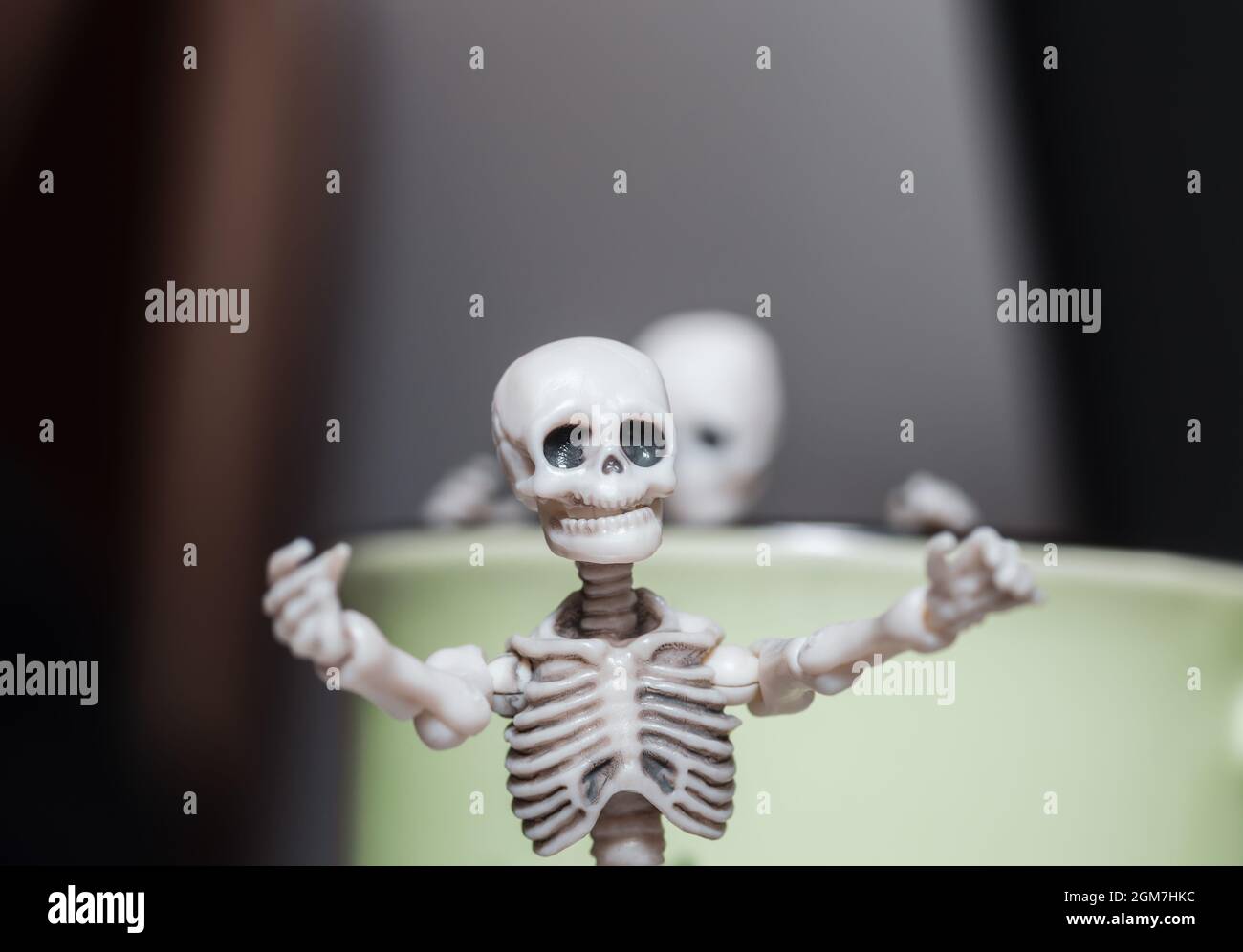 Black and white skeleton toy hi-res stock photography and images - Alamy