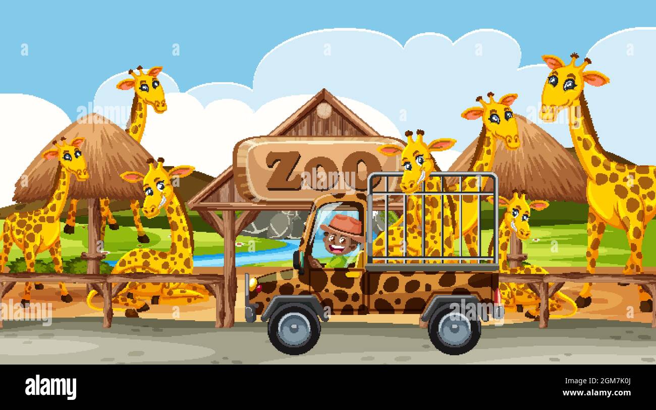 Safari scene at daytime with giraffe group on pickup truck illustration ...