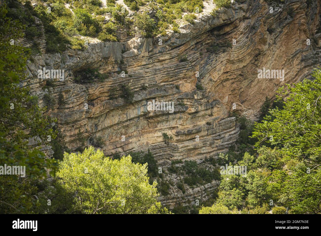 Gorges de la Meouge in Regional Park of Baronnies, Hautes-Alpes Stock ...