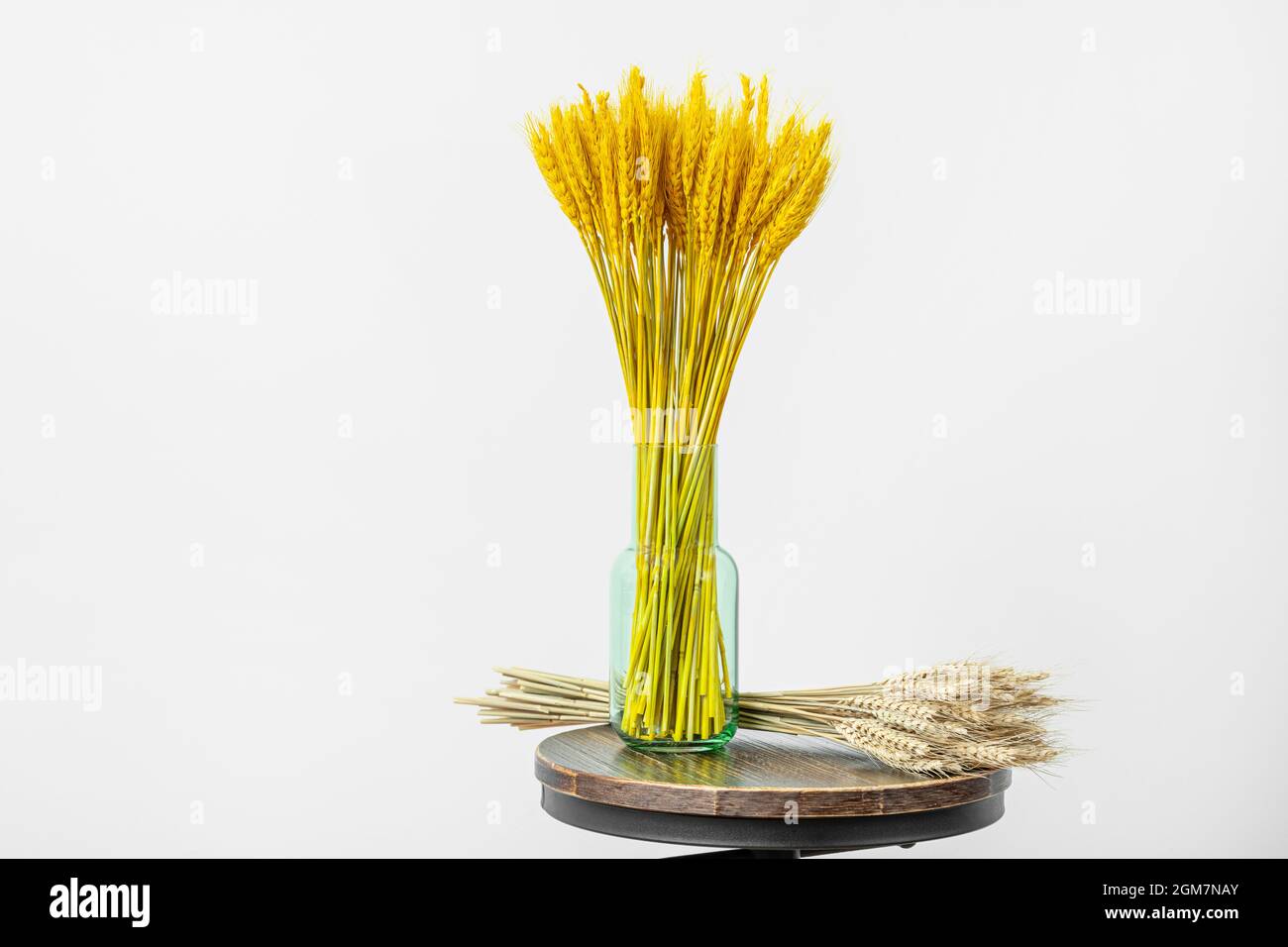 Yellow wheat bouquets for decoration on round stool with white ...
