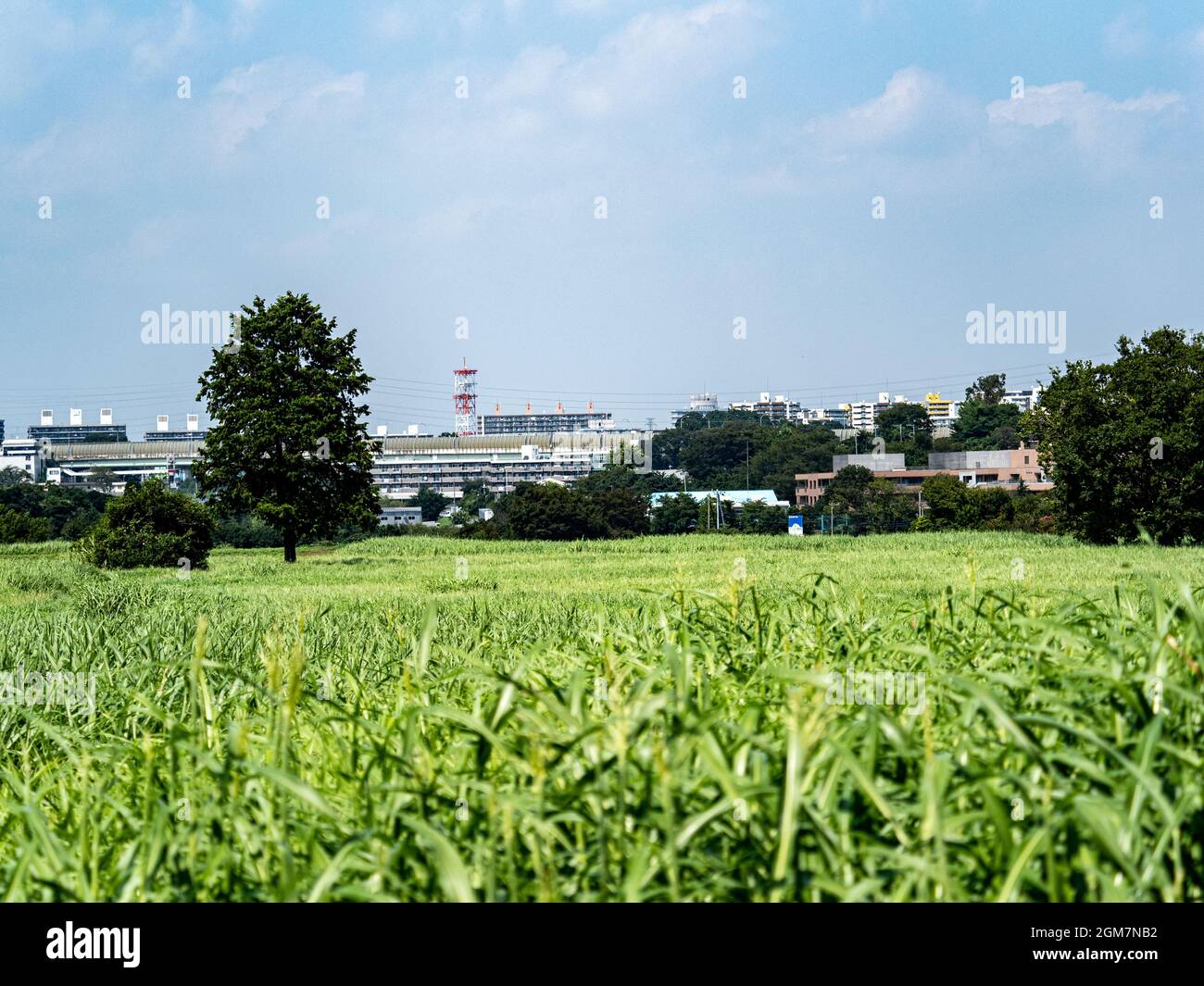 Naval support facility kamiseya hi-res stock photography and images - Alamy