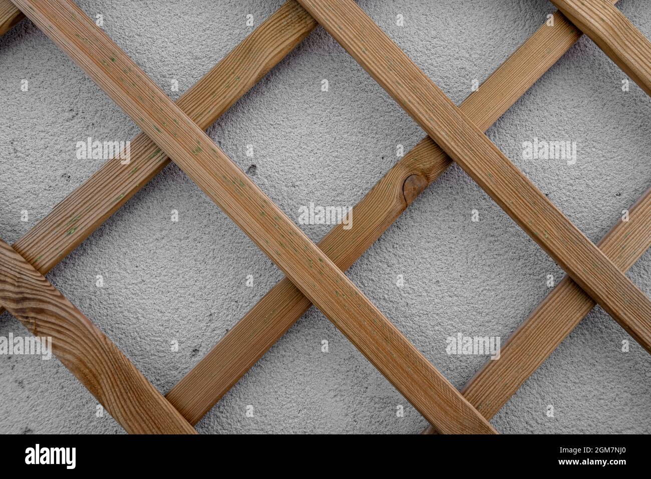 Outdoor lattice wood grid to hang plants. Vector wood texture ...