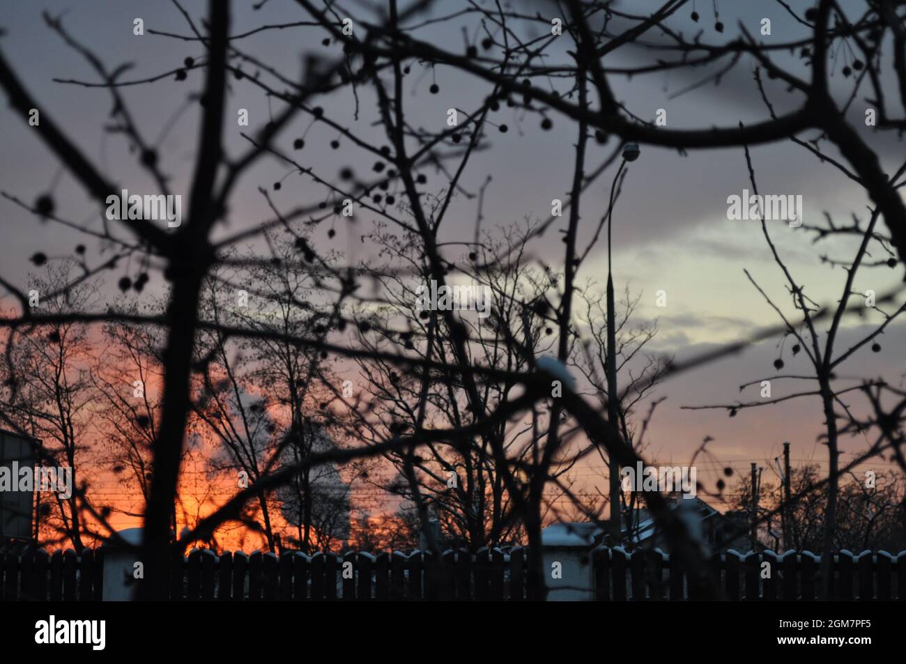 Trees on sunset sky Stock Photo - Alamy