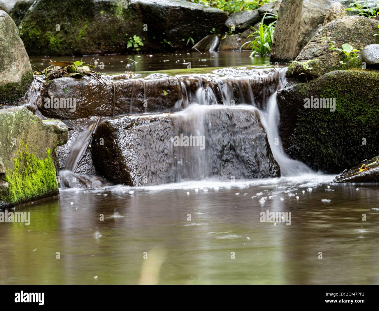 Scenic view of a small waterfall in a Japanese park in Tokyo Stock ...
