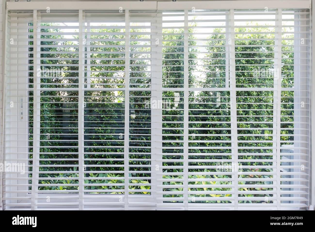 Sun-protection jalousie of white color on the window in a bright sunny ...