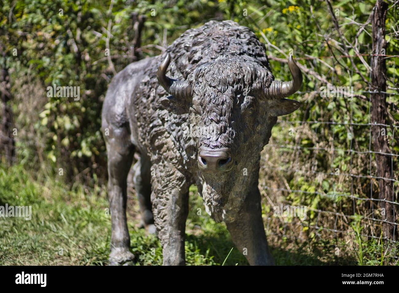 Deanna rose hi-res stock photography and images - Alamy