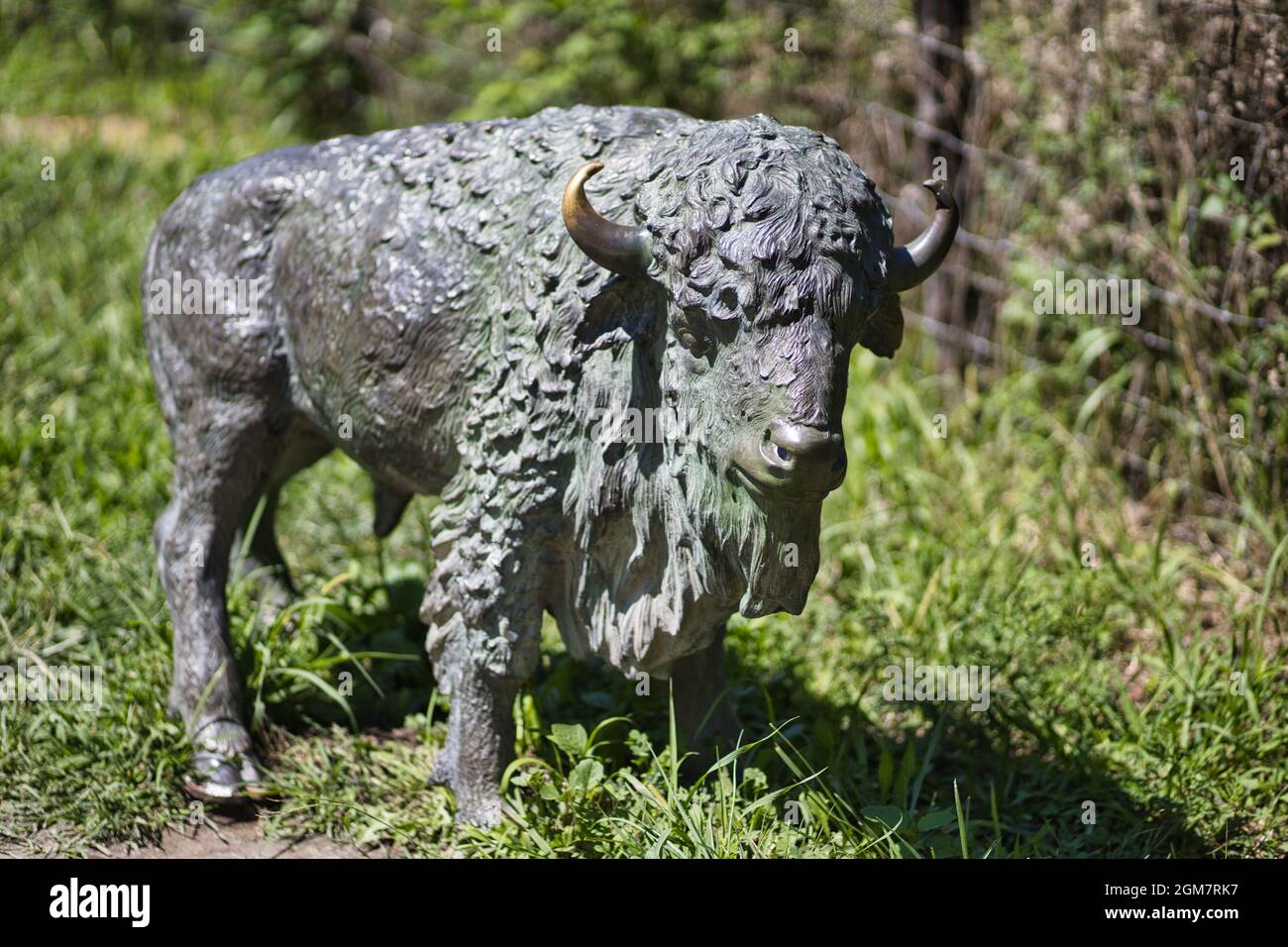 Deanna rose hi-res stock photography and images - Alamy