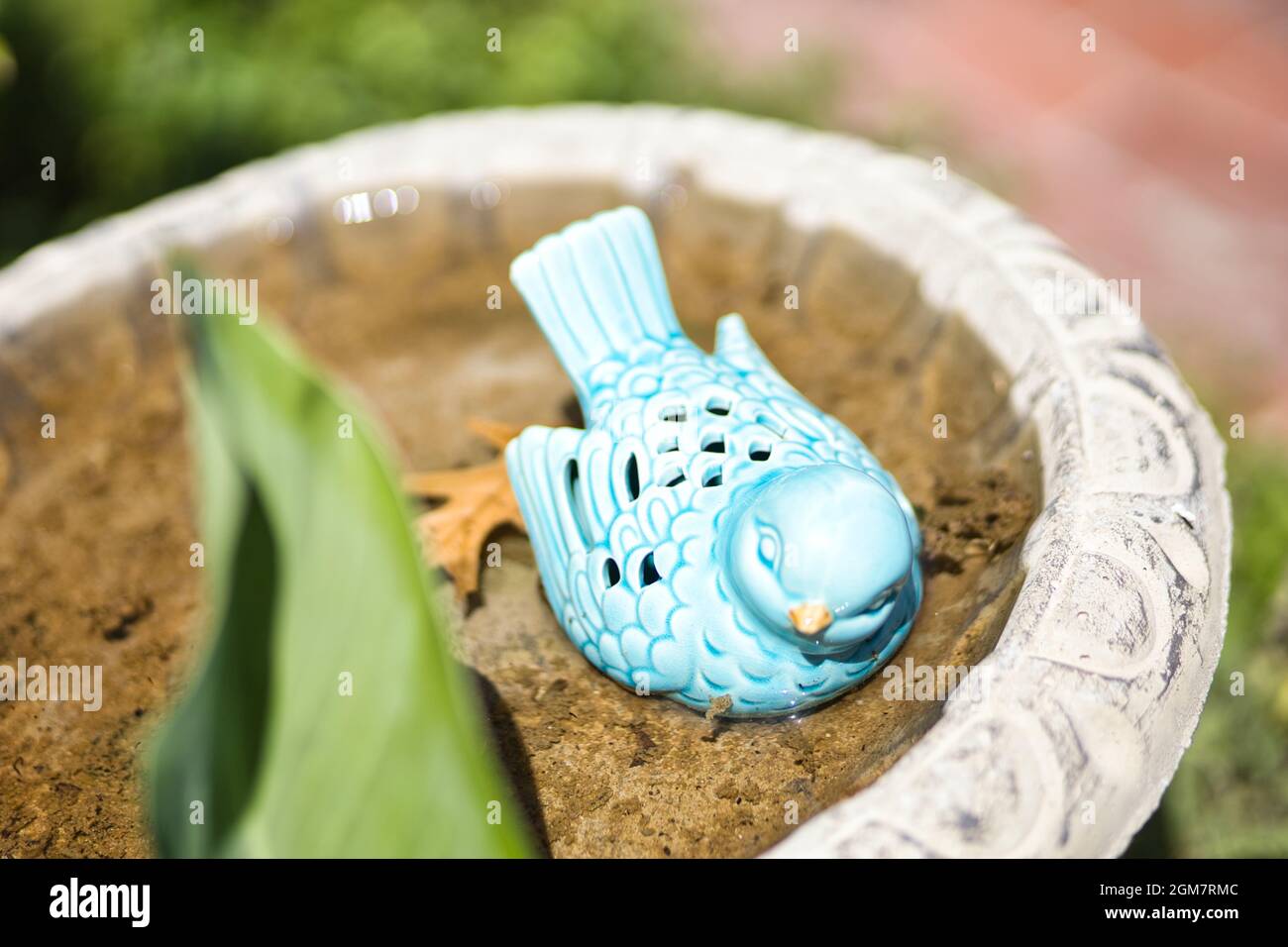 Deanna rose hi-res stock photography and images - Alamy