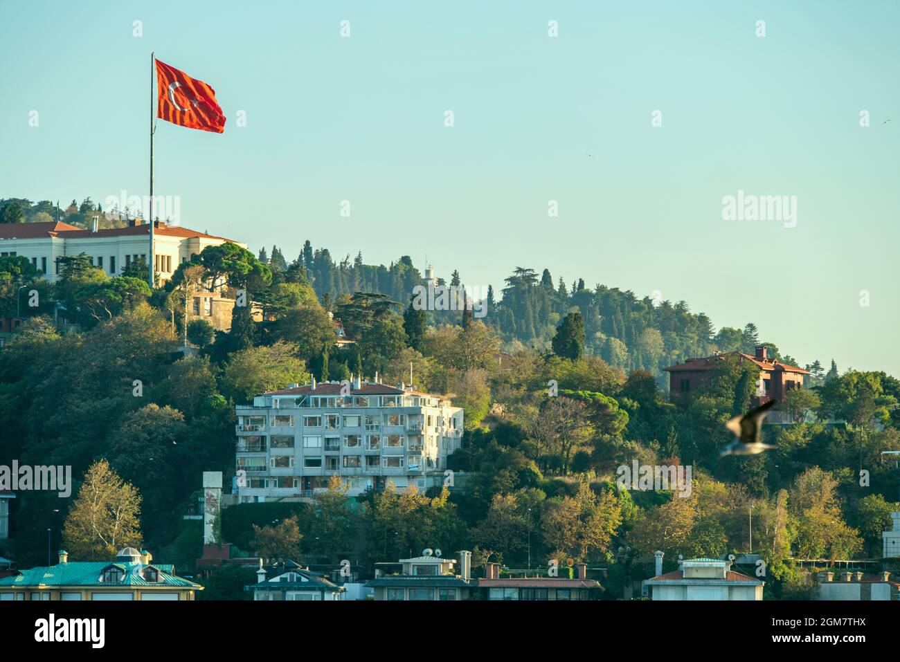 Residential buildings surrounded by trees on a slope of the Bosphorus ...