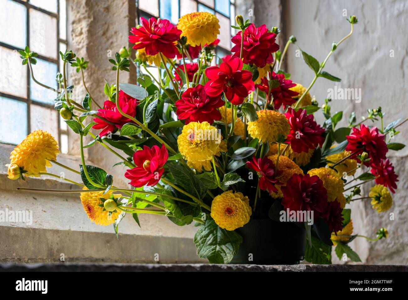Floral arrangement of vibrant red and yellow cut flower Dahlias Stock ...