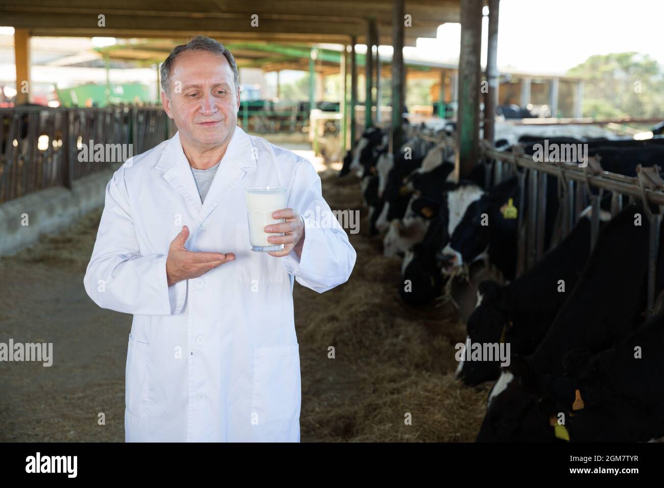 Portrait of man quality expert who is standing Stock Photo - Alamy