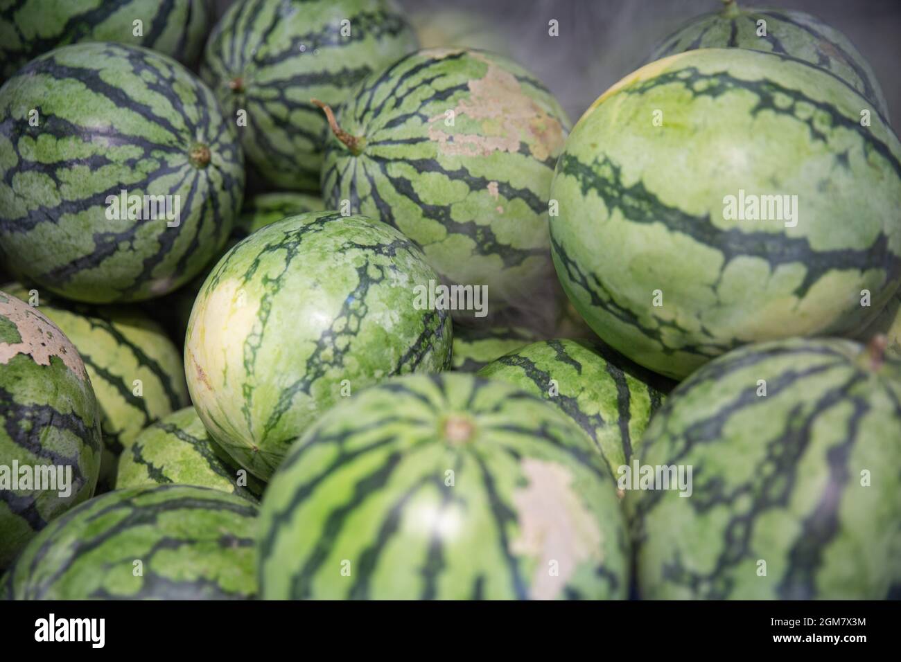 Melons for sale on the streets of Gusu District, Suzhou District, China ...