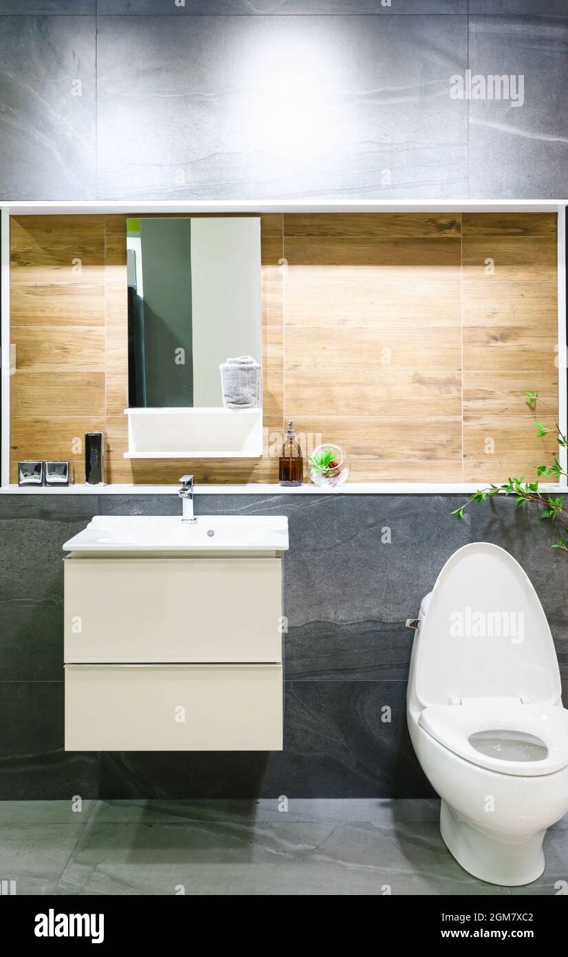 Modern spacious bathroom with bright tiles with toilet and sink. Side ...