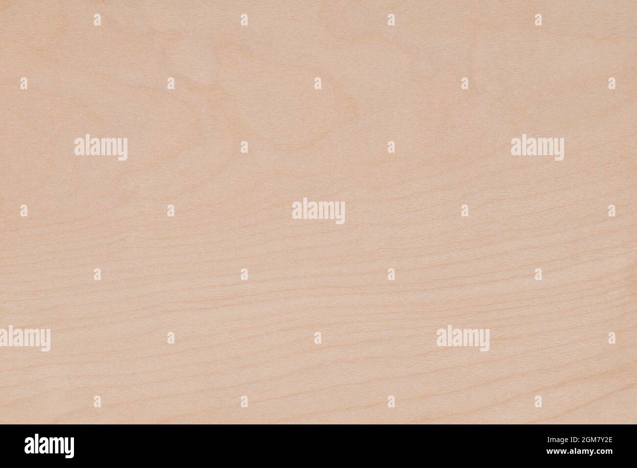 Sycamore wood panel hi-res stock photography and images - Alamy