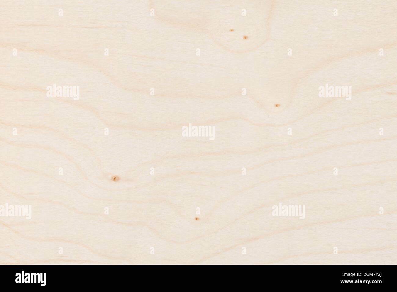 Maple wood texture hi-res stock photography and images - Alamy