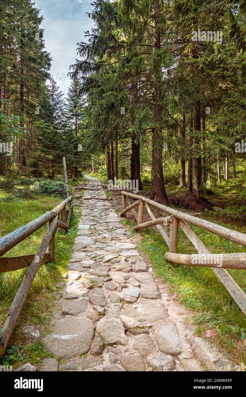 Empty mountain trail in hi-res stock photography and images - Alamy