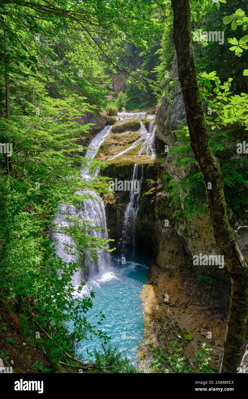 beautiful waterfall in the forest Stock Photo - Alamy