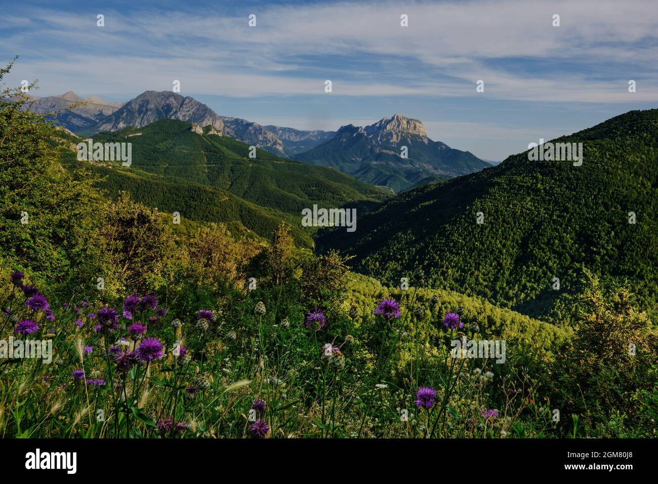 a mountain range covered with greenery Stock Photo - Alamy